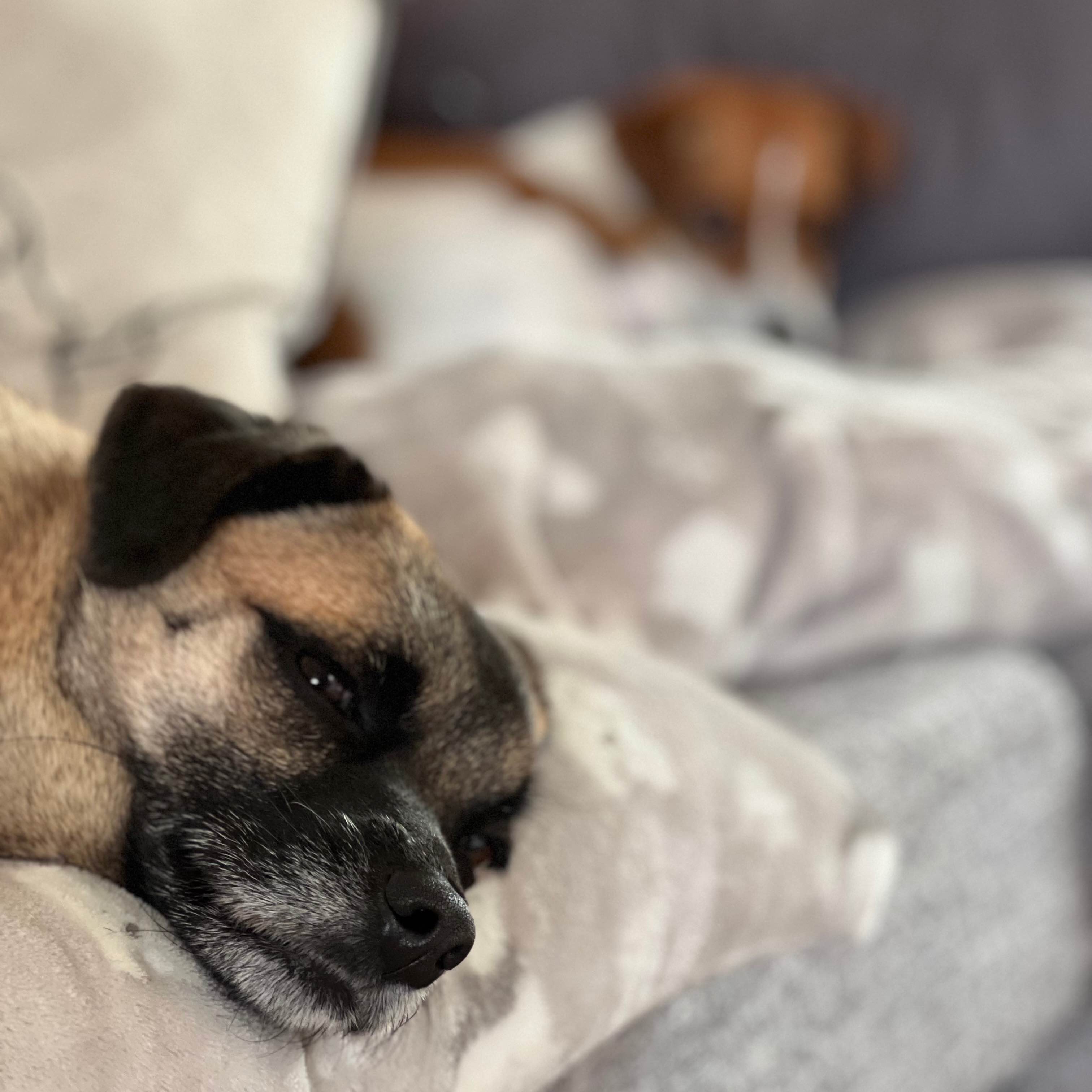 otto315 - プロフィール | Adam byGMO