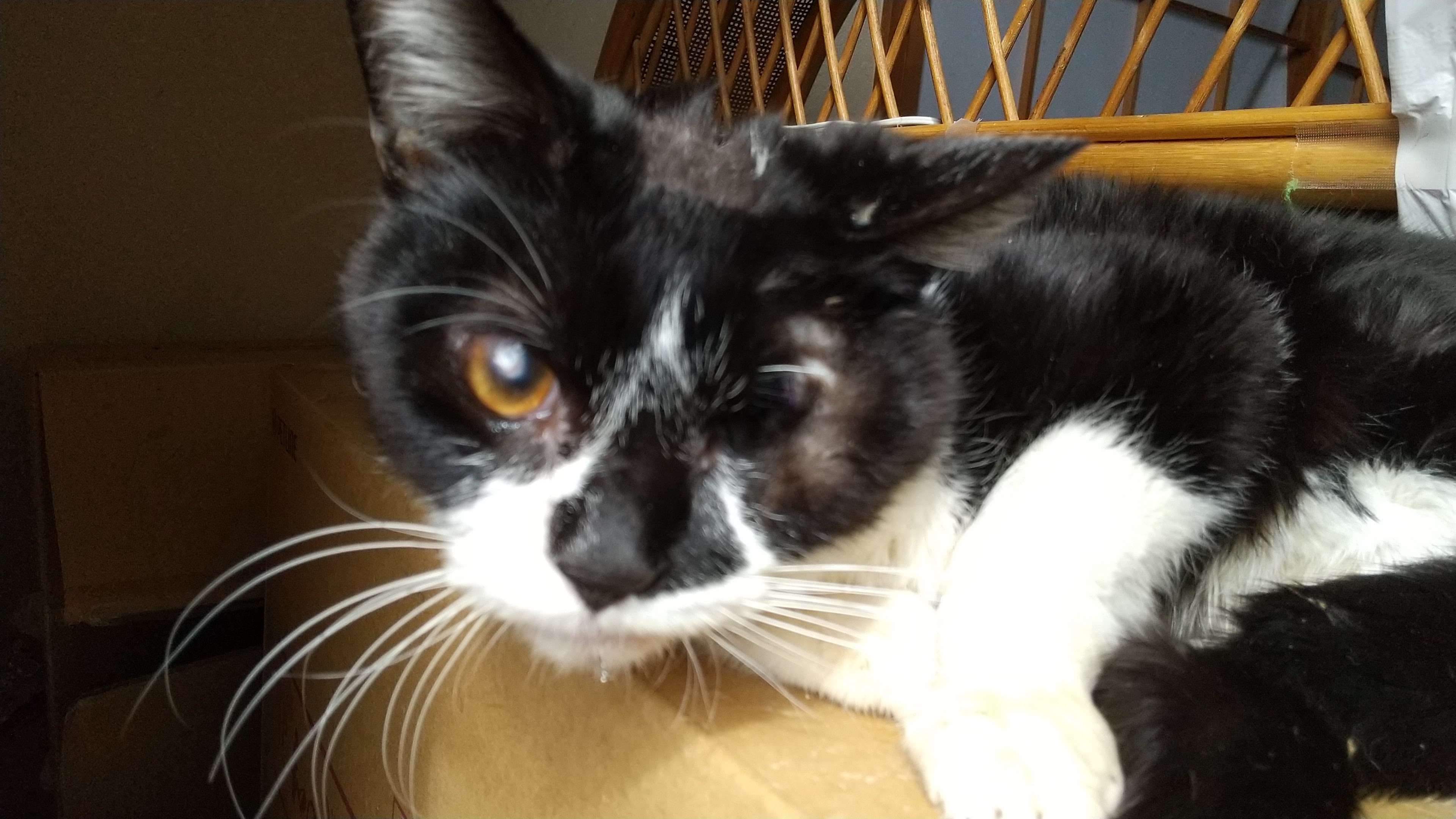 konkon - プロフィール | Adam byGMO