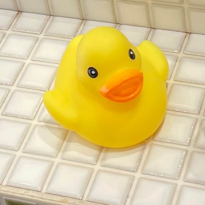 re_noirプロフィール | Adam byGMO