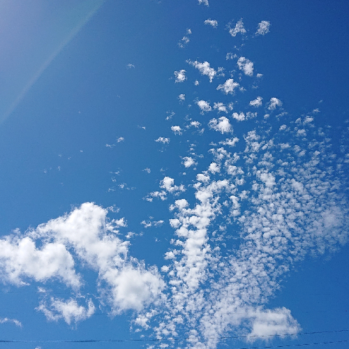 とらちゃん - プロフィール | Adam byGMO