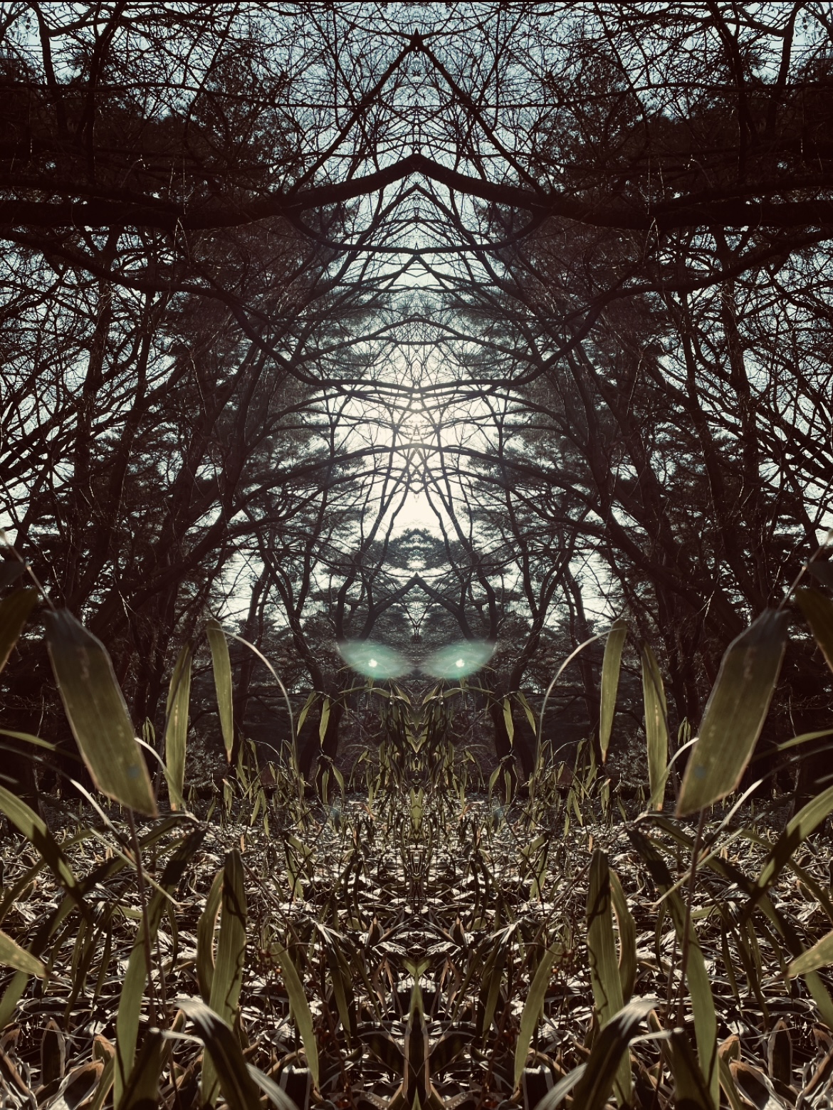 theblueprintjapan - プロフィール | Adam byGMO