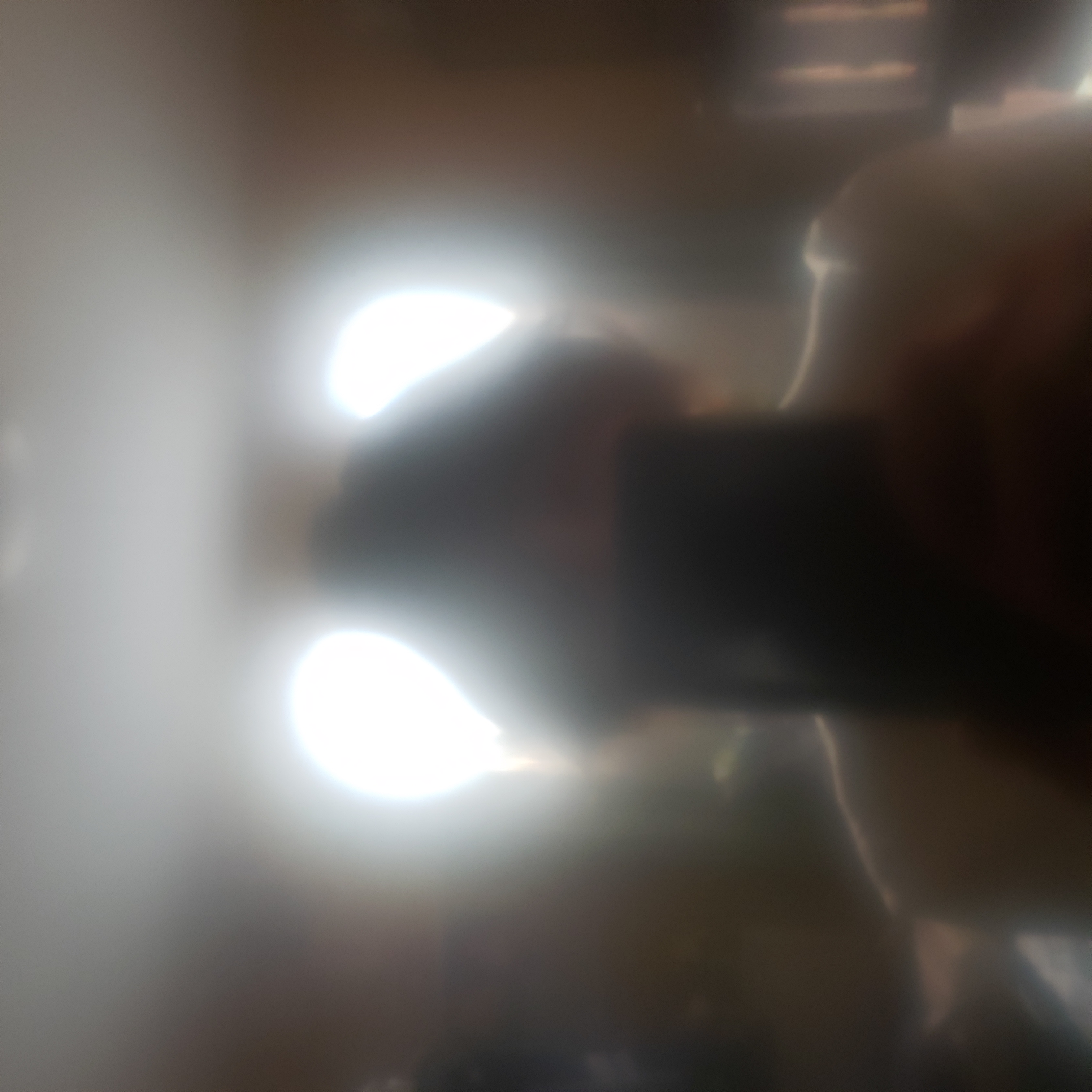 代泊 yohaku - プロフィール | Adam byGMO